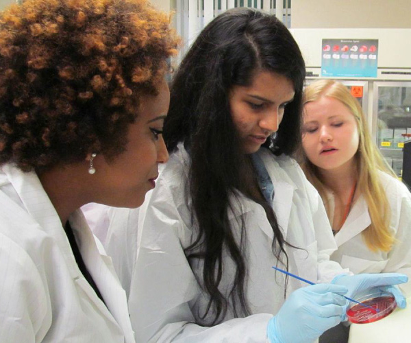 Biology Activities For High School And Middle School biology-activities-for-high-school-and-middle-school